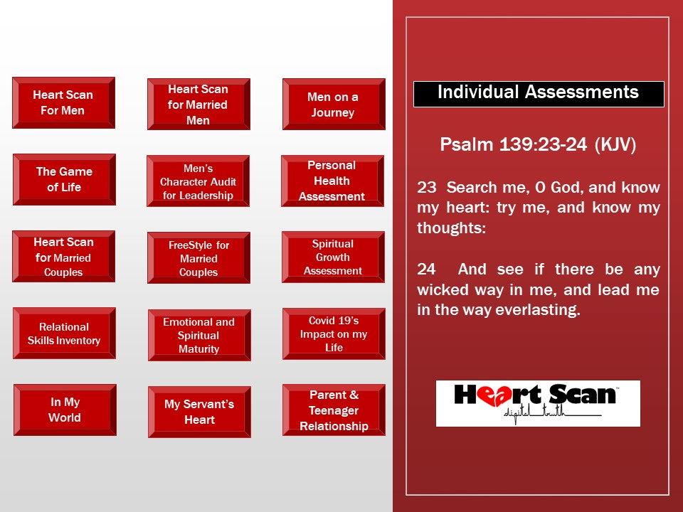 Individual Assessment Dashboard - Digital Truth